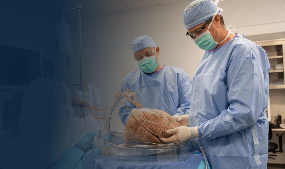 Discover Lung Bioengineering’s new procurement services